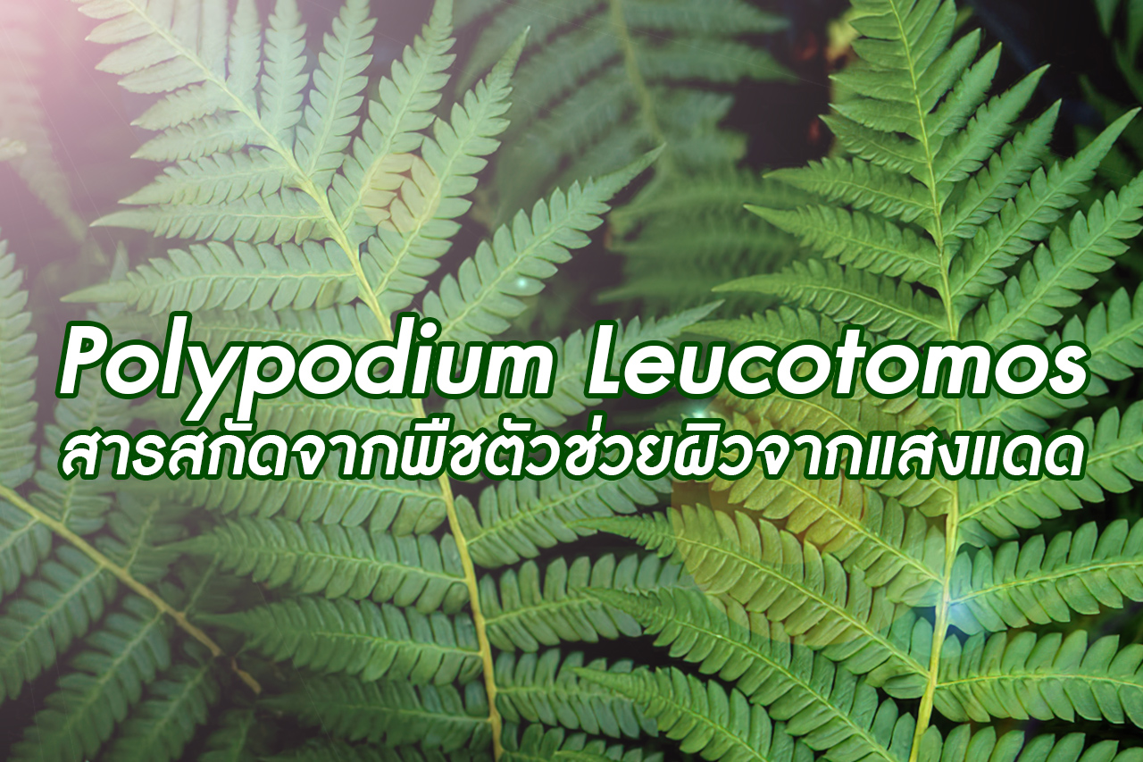 Polypodium Leucotomos สารสกัดจากพืชตัวช่วยผิวจากแสงแดด – Safe & Save ...